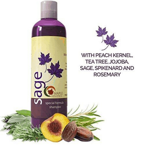 Scalp Health, Hair Conditions, & Dandruff 101 | Maple Holistics