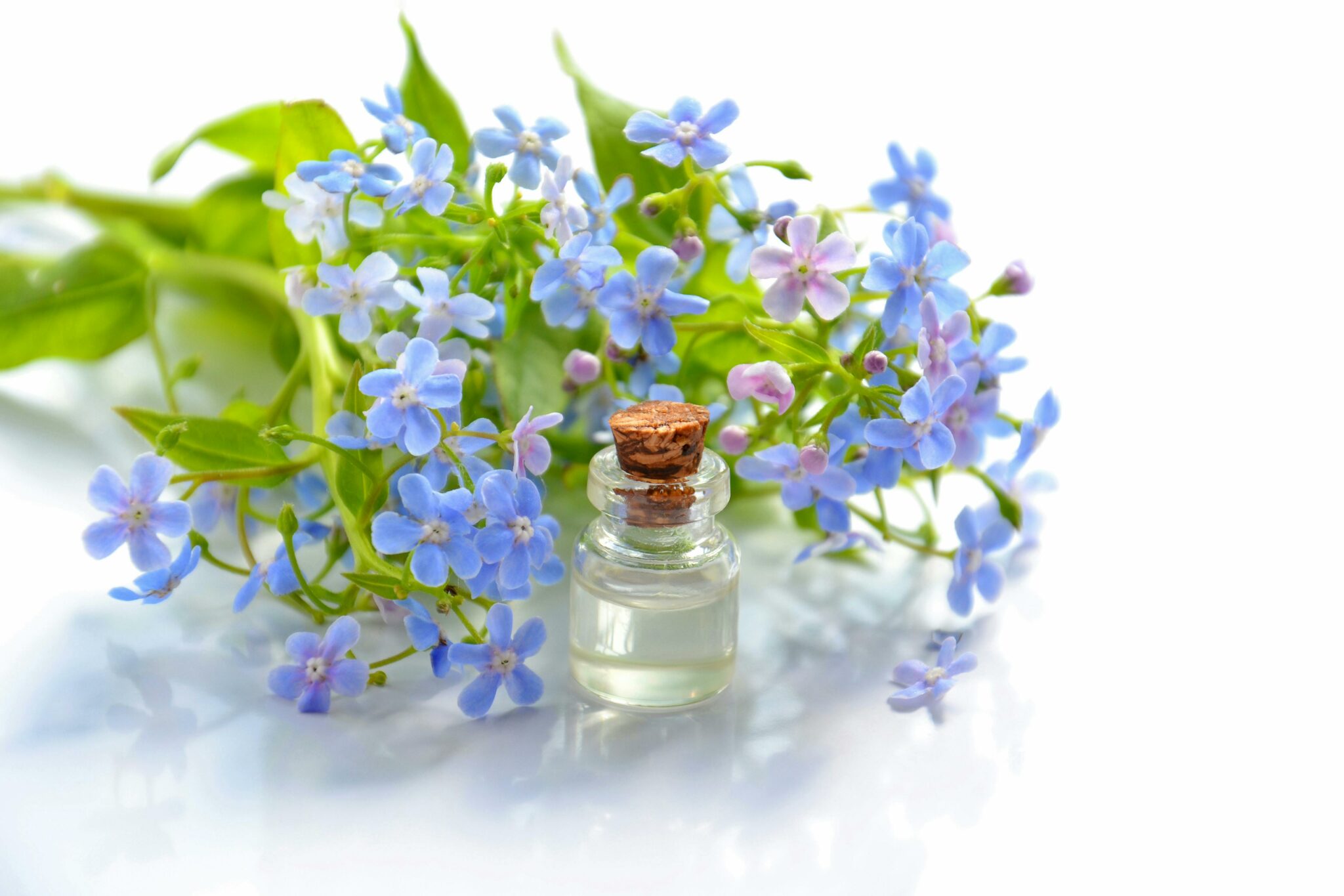 The Best Essential Oils To Enhance Intimacy | Maple Holistics | Real ...