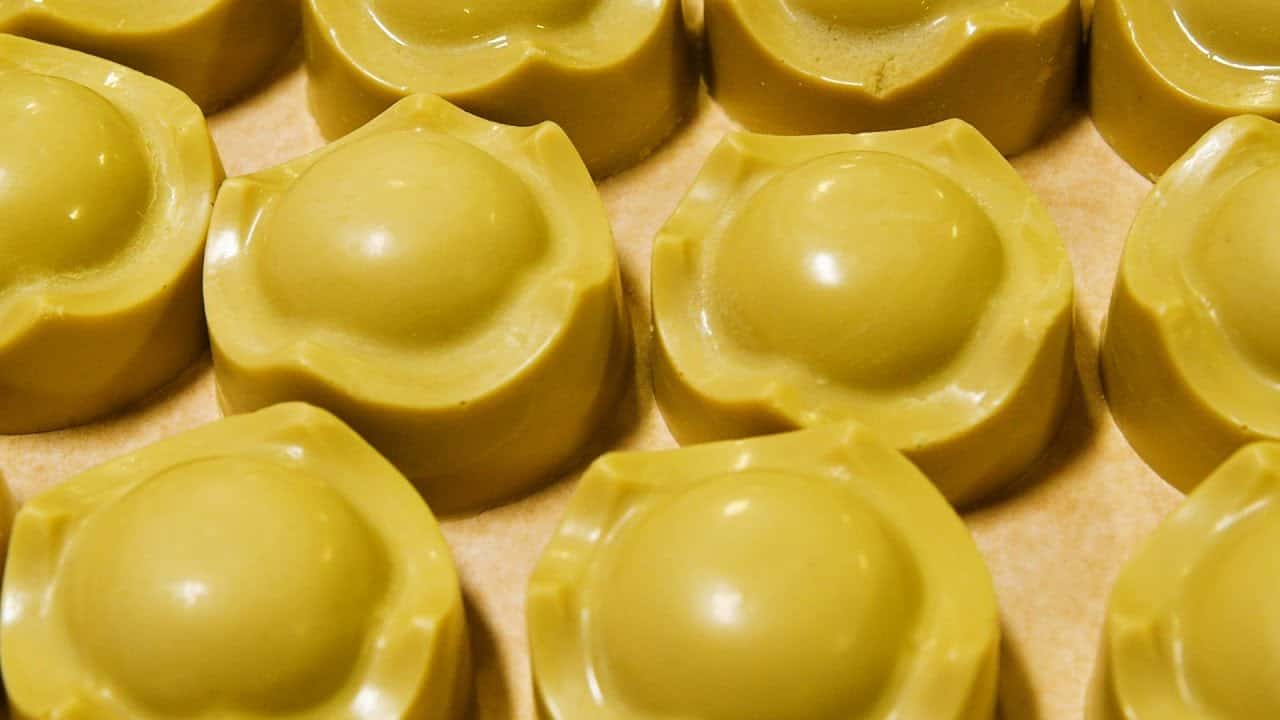 Lush's Best Body Products That You Need In Your Life