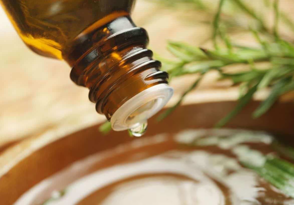 Top 5 Hydrosols For Your Health: Essential Water | Maple Holistics ...