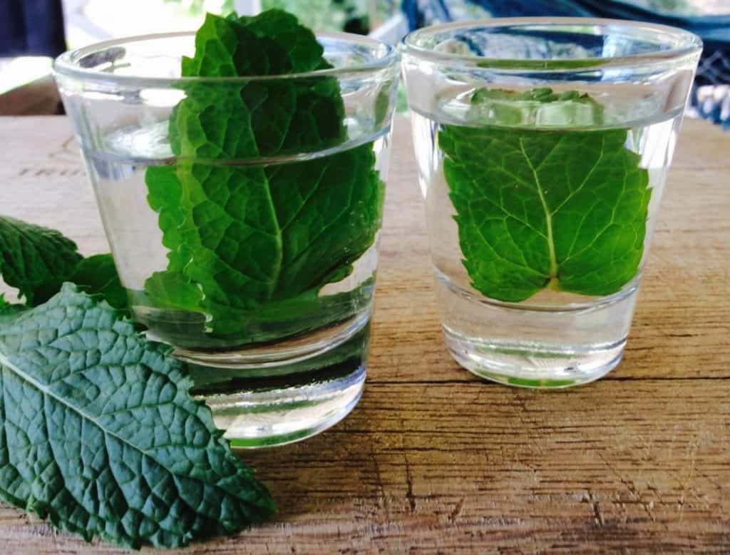 Top 5 Hydrosols For Your Health: Essential Water | Maple Holistics ...