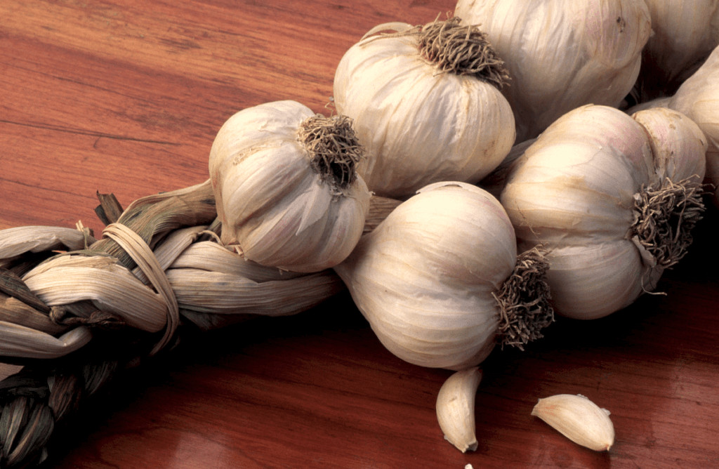 10 Practical Benefits And Uses Of Garlic For Health