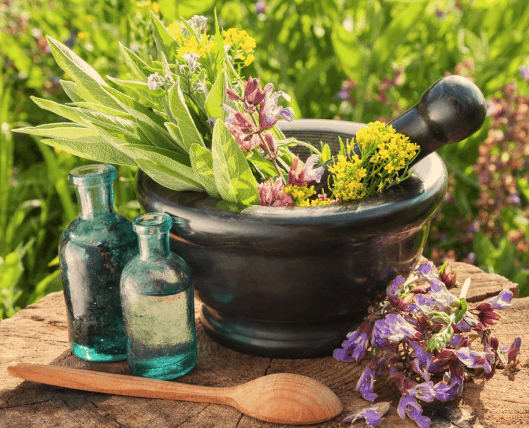 Absolute Oil vs. Essential Oil: A Detailed Comparison