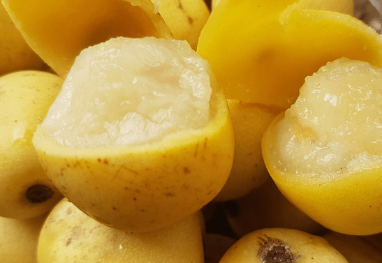 Top Marula Oil Benefits For Skin And Hair Explained | Maple Holistics ...