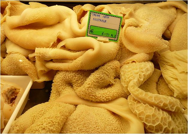 What Is Tripe? Is Tripe Healthy For Dogs? Tripe For Dogs 101