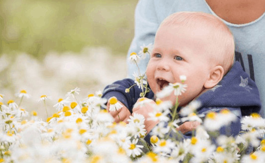 Chamomile Benefits Explained: What Can Chamomile Tea Do For You?