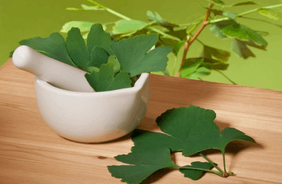 Ginkgo Leaf Health Benefits Explained: Ginko Leaf Tea And More