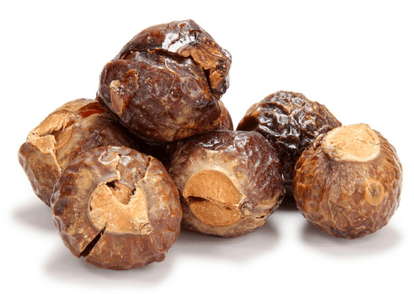 Soap Nuts Benefits Explained: What Is Soap Nuts Shampoo?