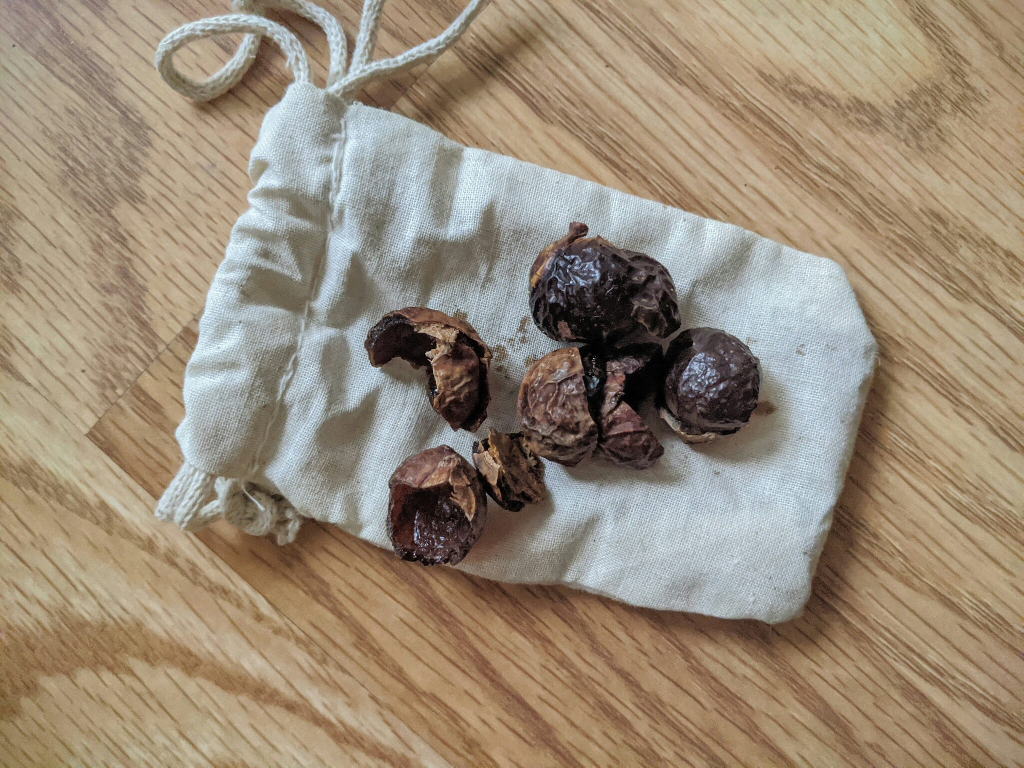 Soap Nuts Benefits Explained: What Is Soap Nuts Shampoo?