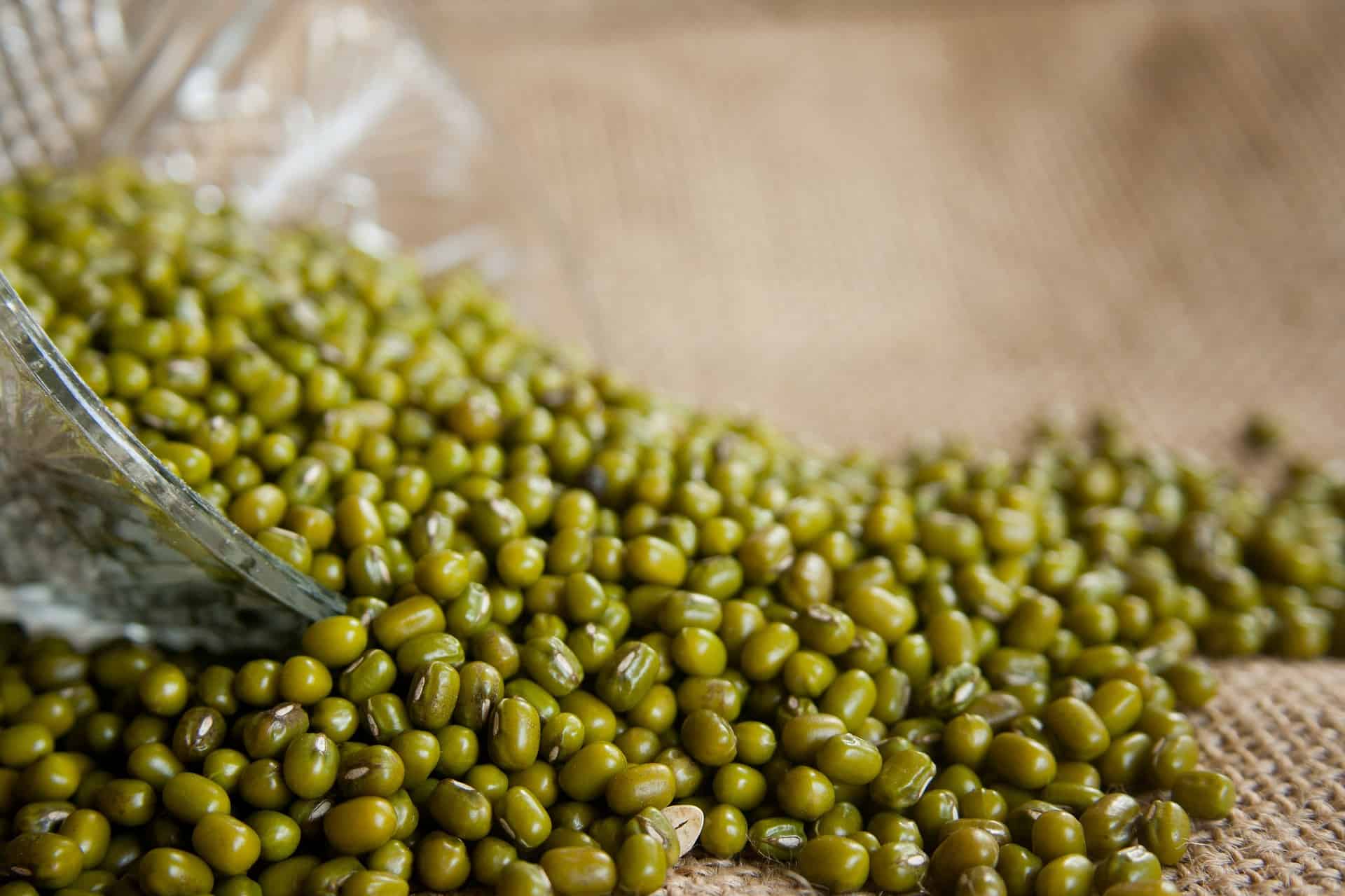 The Top 5 Benefits Of Mung Bean Explained: What Are Mung Beans?