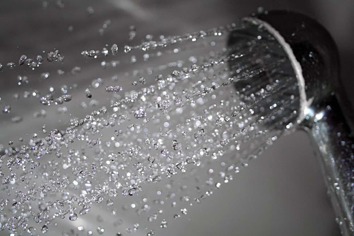 Top 5 Chelating Shampoos For Hard Water | Maple Holistics | Real ...