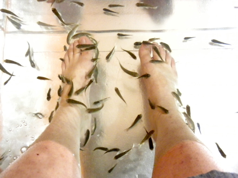 Fish Pedicures Finally Explained! | Maple Holistics | Real Ingredients ...